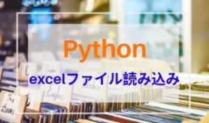 Python超初心者：PythonでExcelファイルを読み込む | 理系夫婦の方程式